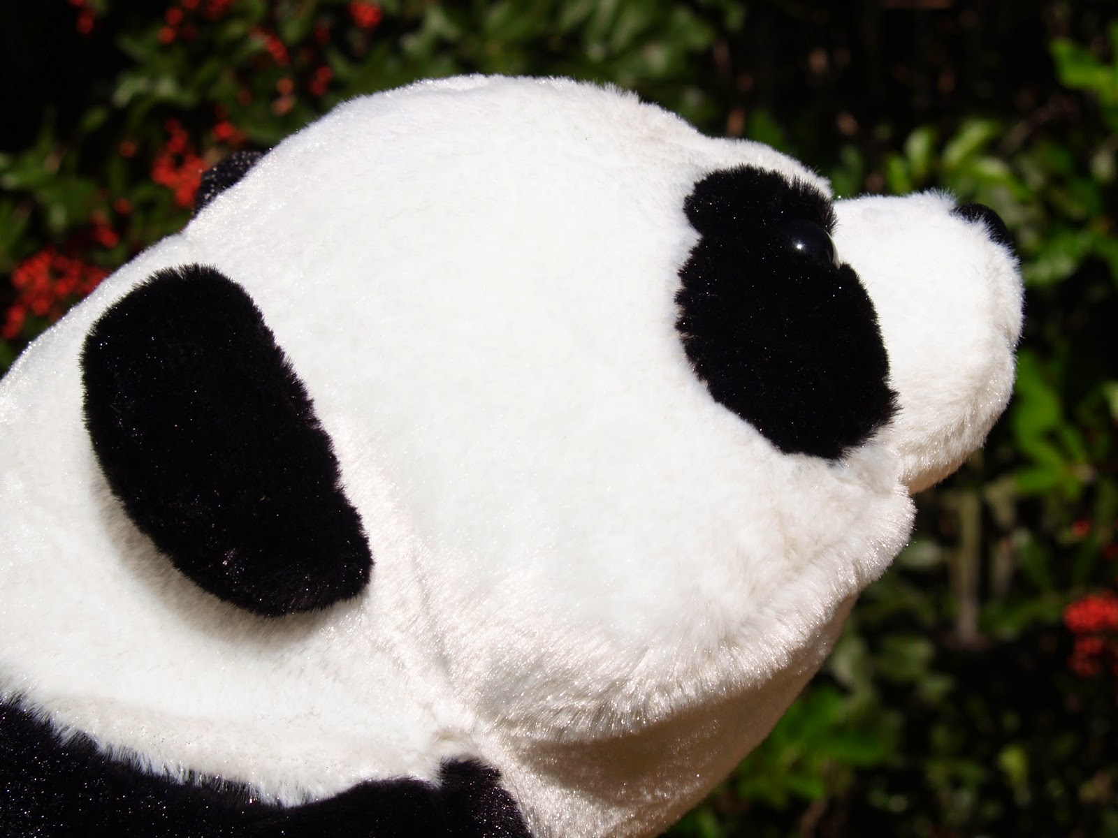 Snuffles Bear by Gund Collector's Blog: Here comes the Panda